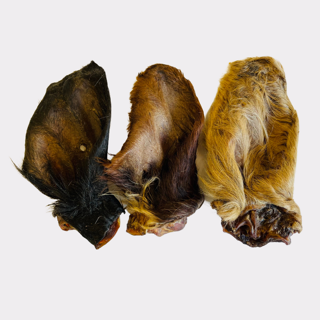 Natural Treats - Hairy Cow Ears (10pcs) – Raw To Go