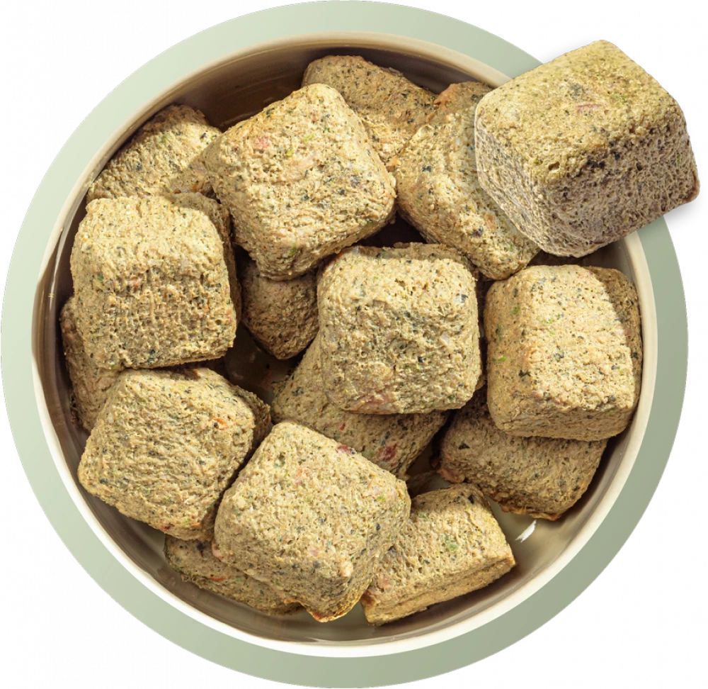 NM Country Hunter Raw Nuggets 80/20 LAMB With Superfoods chnl – Raw To Go